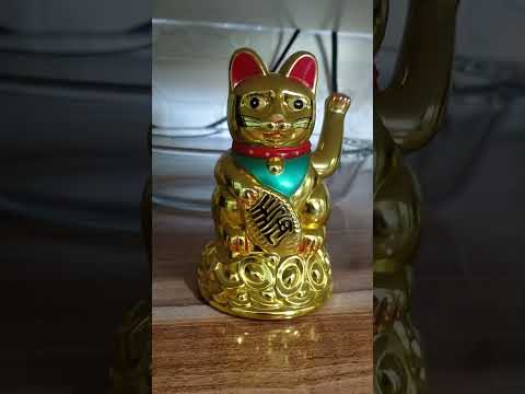 Fortune Cat is known as Maneki Neko in Japanese, which means “ beckoning cat #amazing