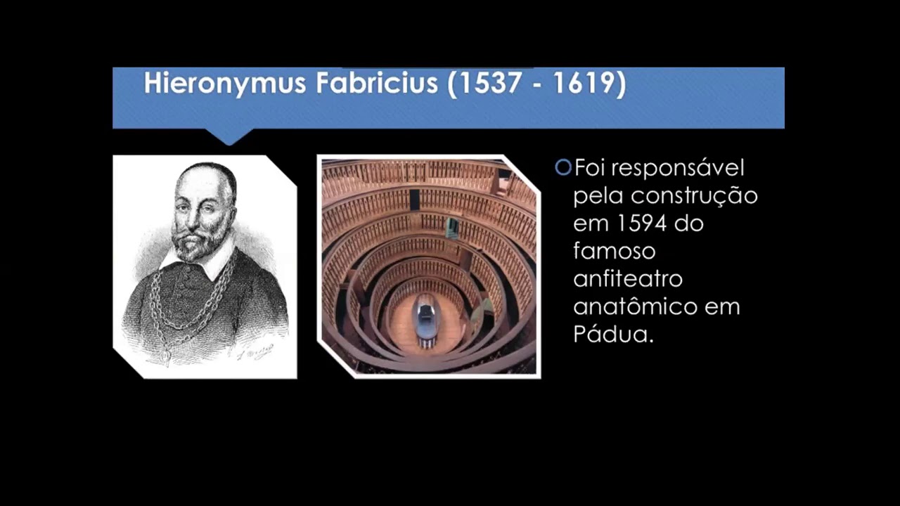 HISTÓRIA DA ANATOMIA