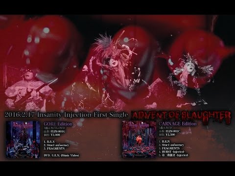 Insanity Injection profile | Insanity Injectionプロフィール | vkgy (ブイケージ)