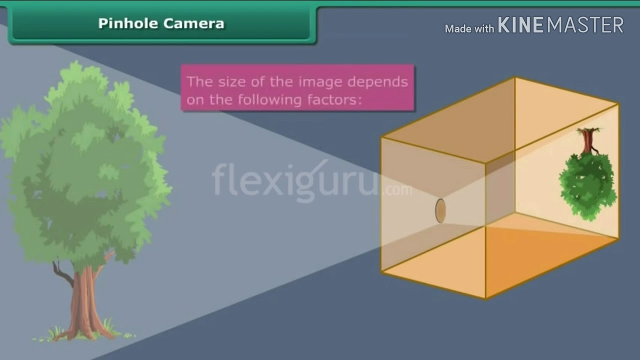 How does pinhole camera work?