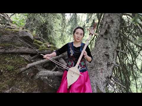 igil (bowed musical instrument) | Reverb