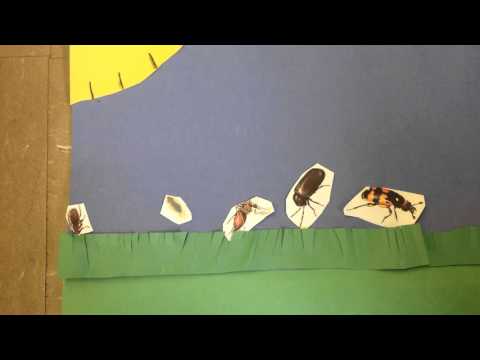 The Grassland Food Chain - Mrs. Bloom