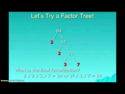 Prime Factorization