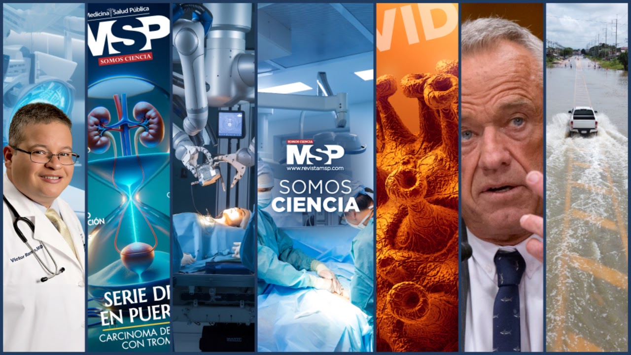 Qué son los ventrículos cerebrales y por qué son esenciales