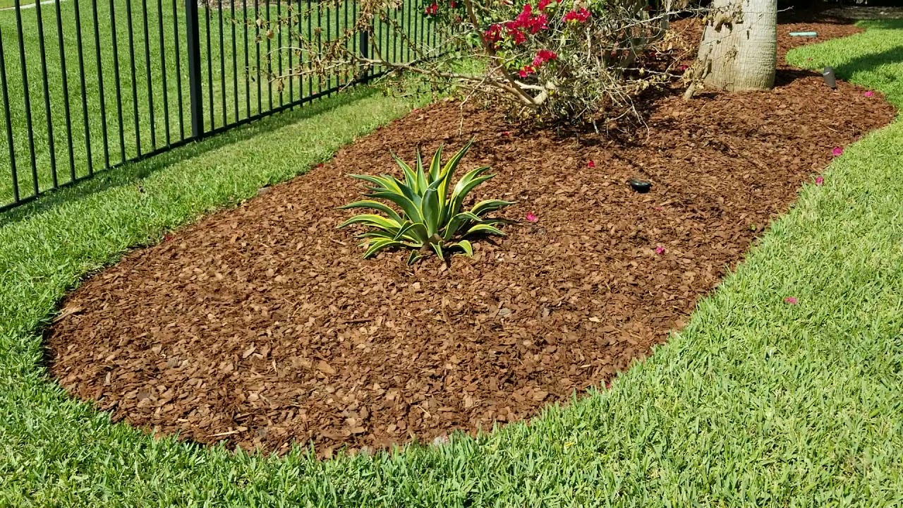 After - Professional Landscape Cleanup and Mulch Install - Pine Bark Nuggets