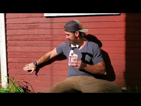 How to get rid of Box Elder Bugs