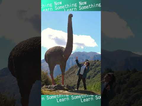The Mighty Moa: New Zealand's Giant Flightless Bird