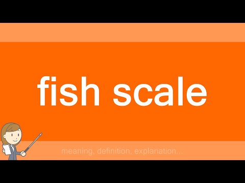 fish scale