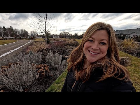 Planting Hyssop Seeds, Propagating Tradescantia & Flower Bed Cleanup! πΏππ // Garden Answer