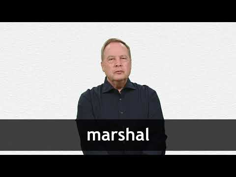 MARSHAL 释义 | 柯林斯英语词典