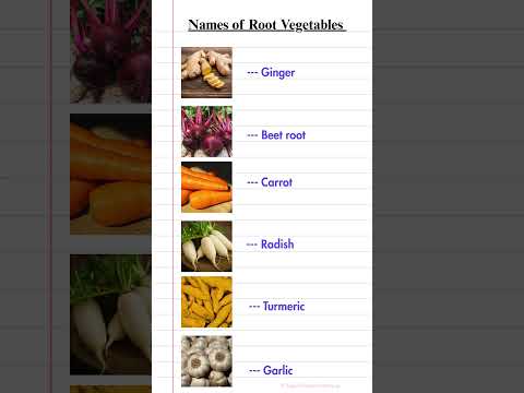 Root Vegetables Names ✅✍️✨#english #educationalvideo #grammer #englishgrammar #education