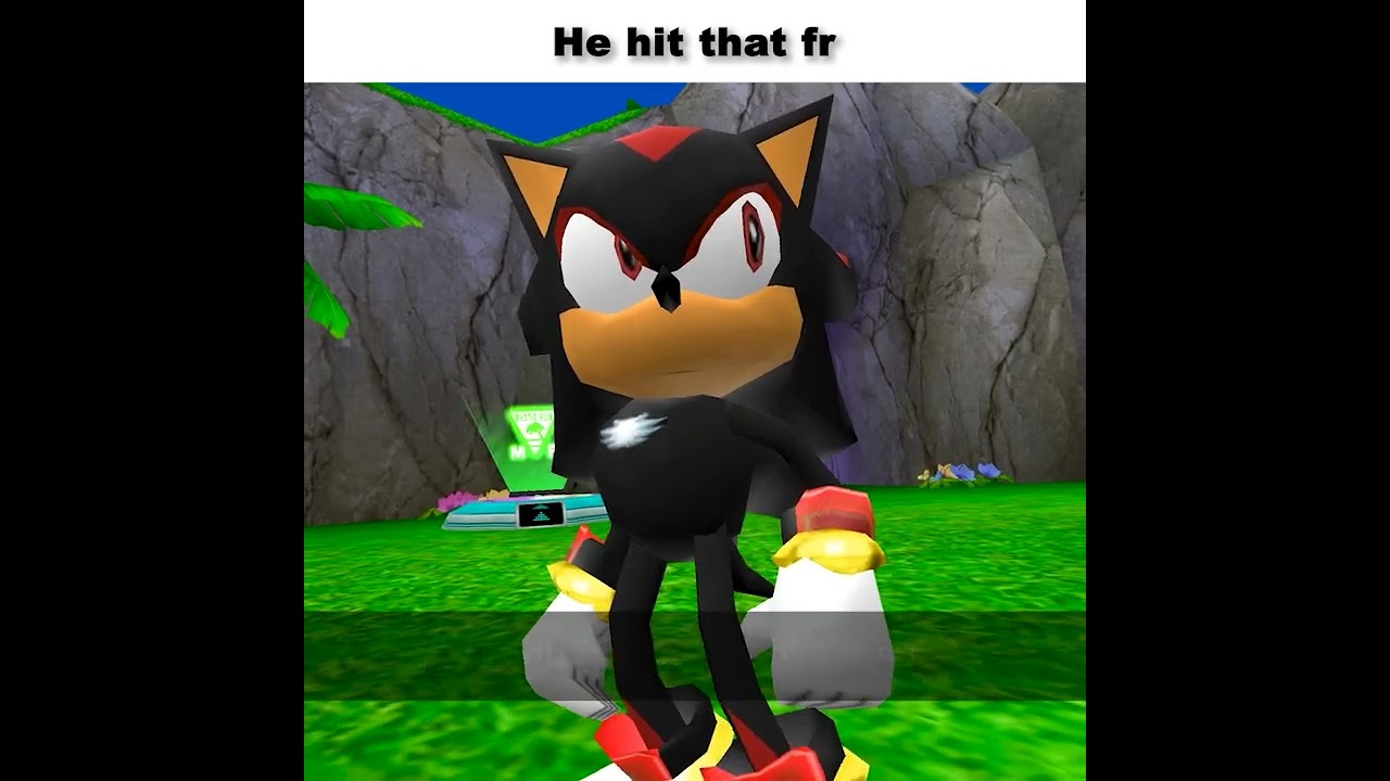 SHADOW GOT MOVES #sonic #memes
