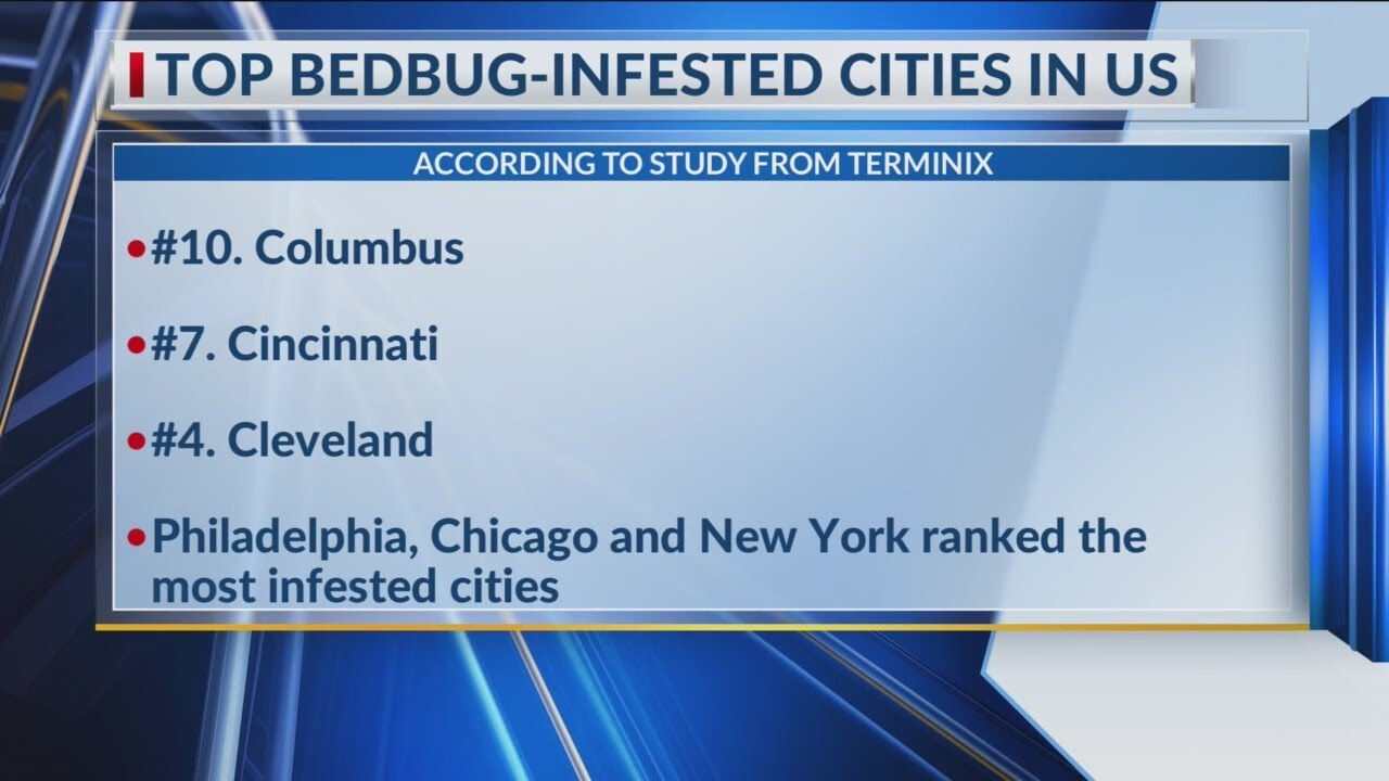 Where Columbus ranks in top bedbug-infested cities
