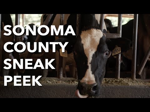 Sonoma County Episode Trailer (EPISODE 203) - "V is for Vino" Wine Show