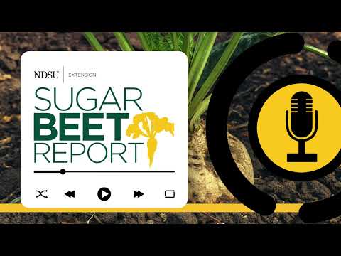 Fertilizer Recommendations - Sugarbeet Report