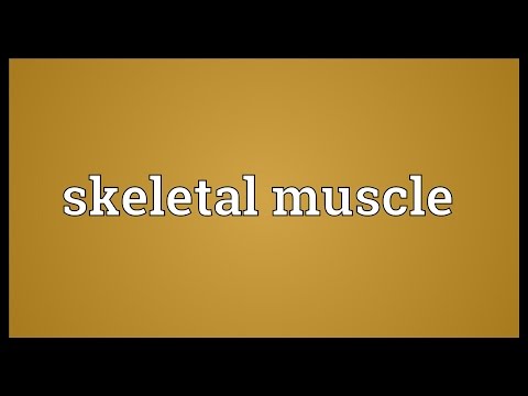 Skeletal muscle Meaning