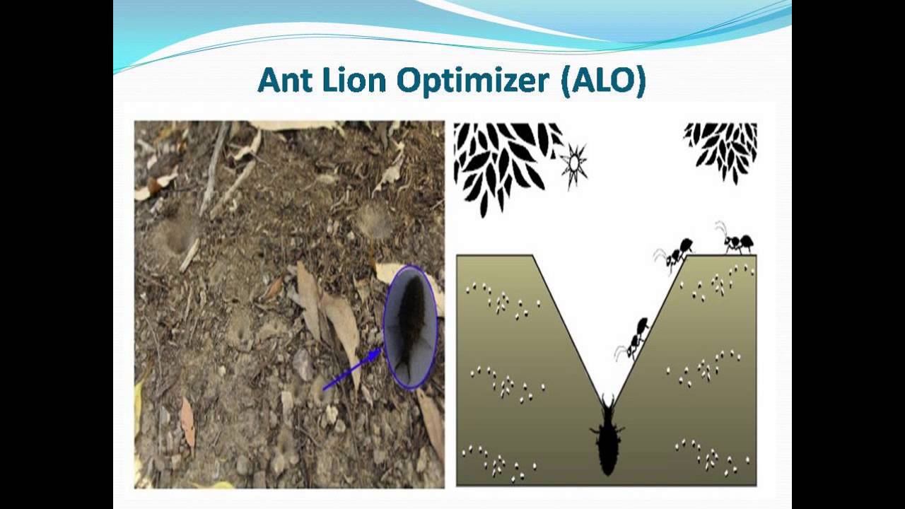 Community detection in complex networks using Ant Lion Optimizer