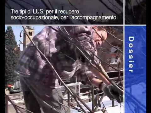 Obiettivo lavoro news
