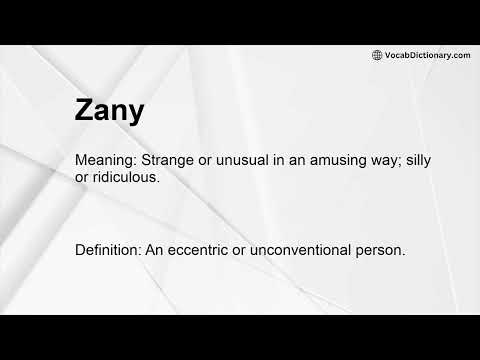 Zany Meaning