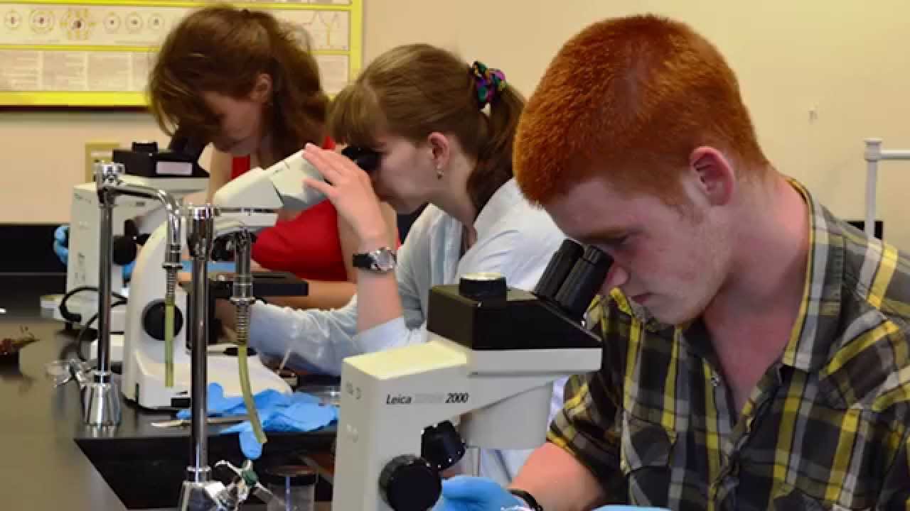 Science, Technology & Innovation at Landmark College