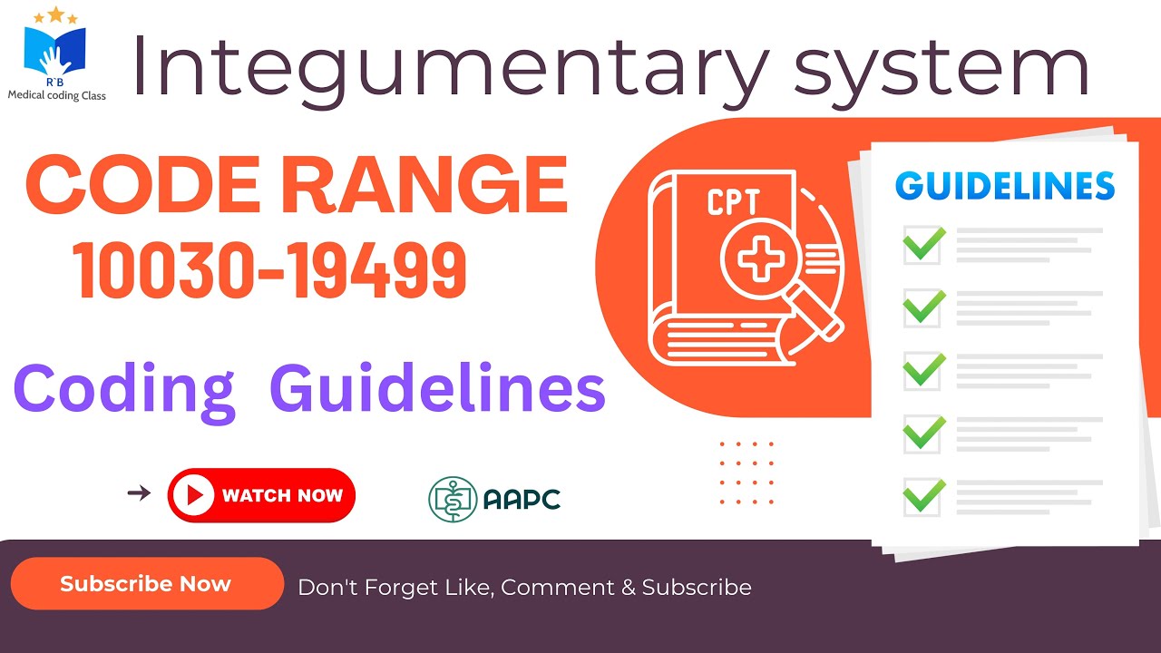 10030–19499 CPT Codes | Integumentary System Guidelines Explained for CPC Exam