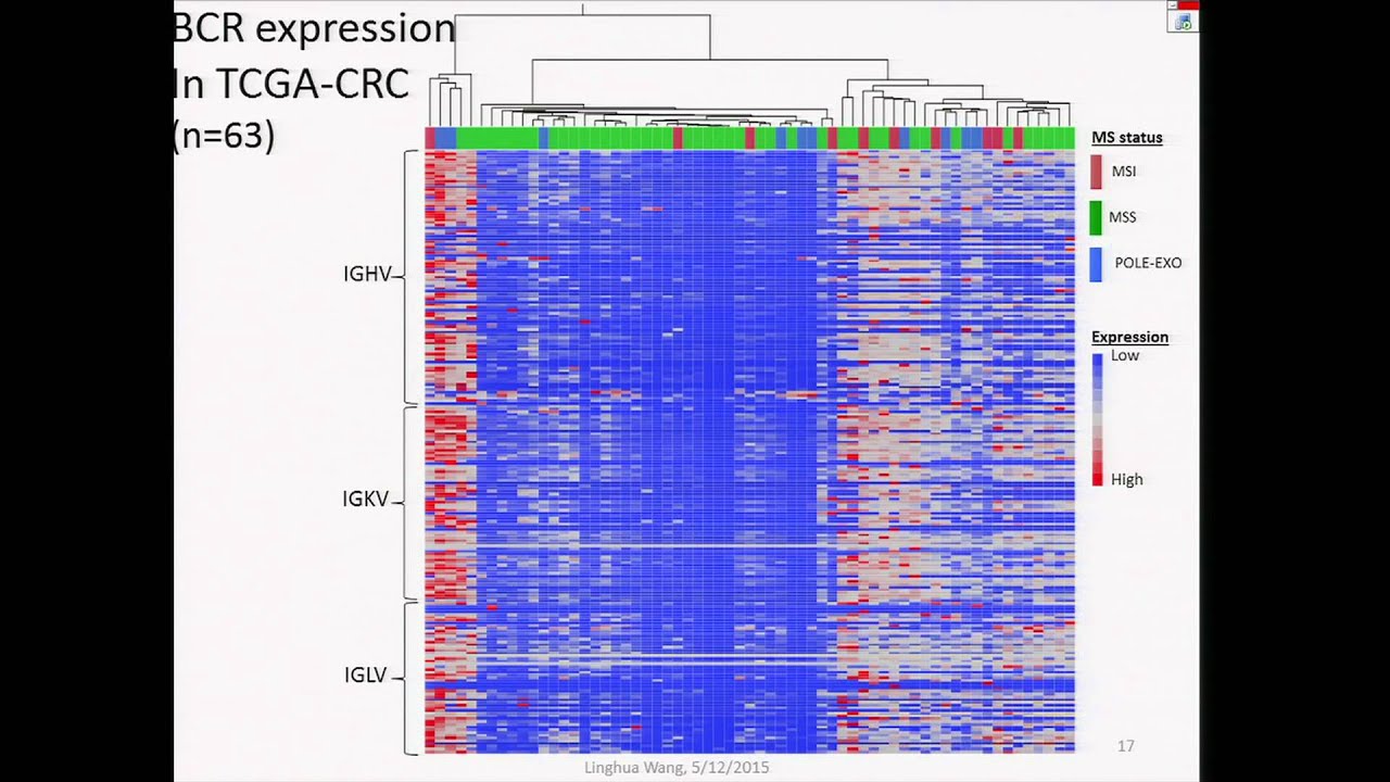 Characterization of Tumor-infiltrating T-lymphocytes in TCGA Cancers - Linghua Wang