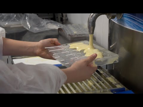Inspiring The Chocolate Makers of The FUTURE! At JJA Snack