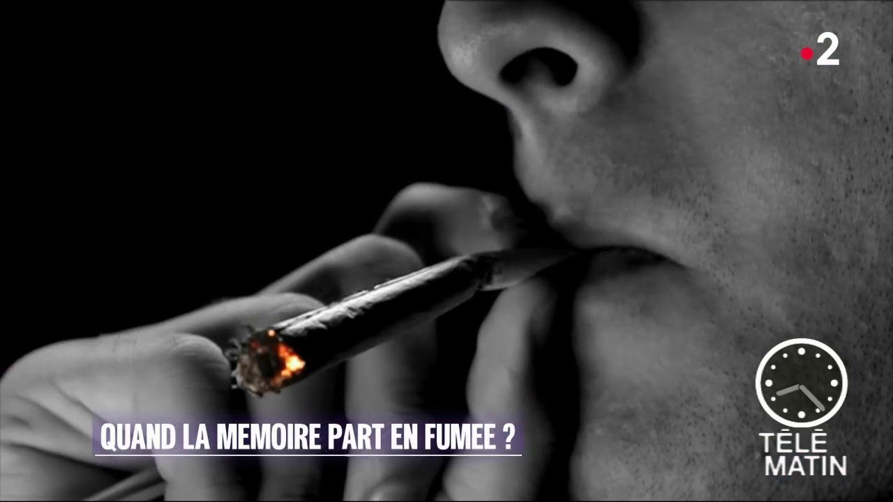 Health - Stopping cannabis: memory returns!