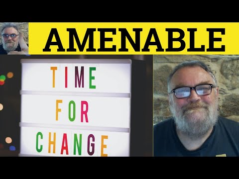 🔵 Amenable Meaning - Amenably Defined - Amenable Examples - Describing People