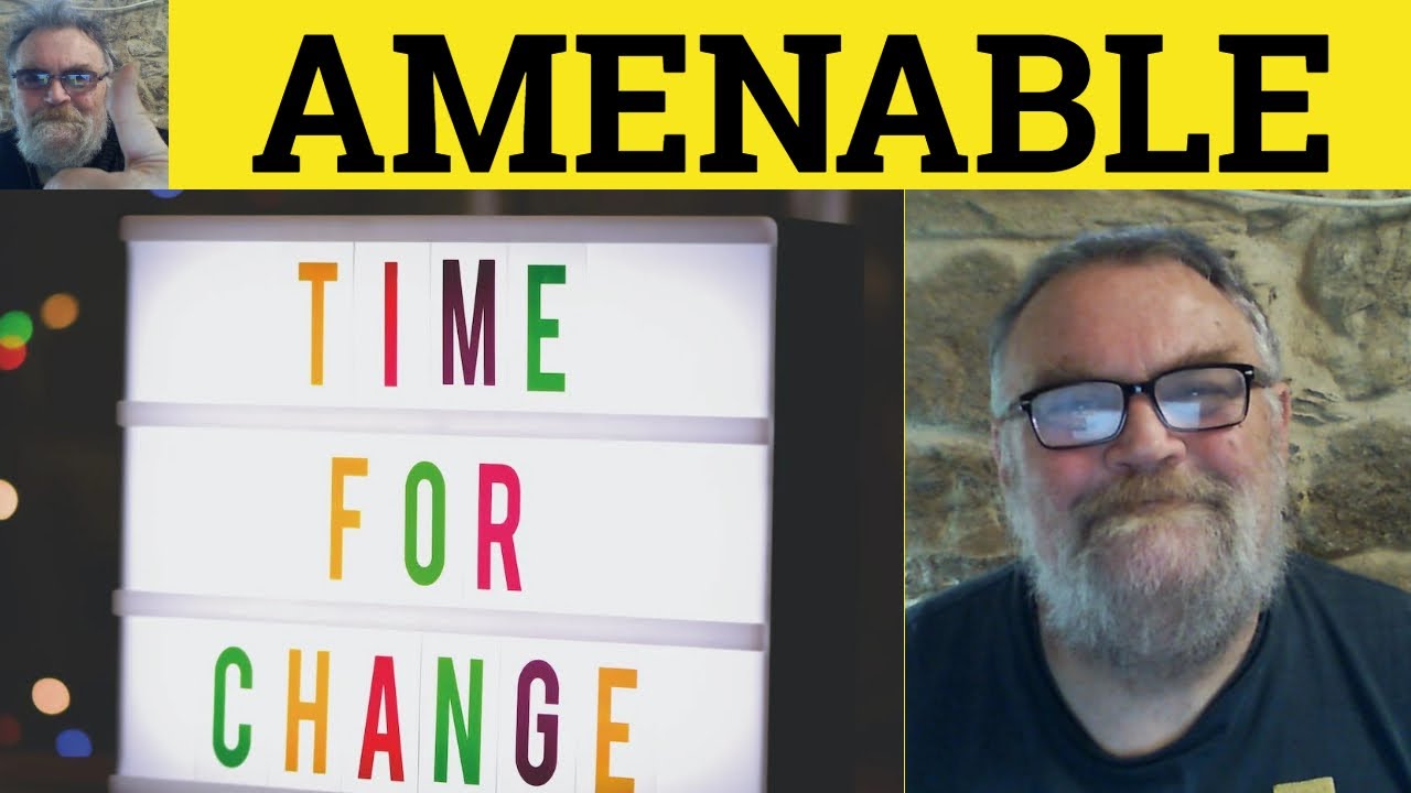 🔵 Amenable Meaning - Amenably Defined - Amenable Examples - Describing People