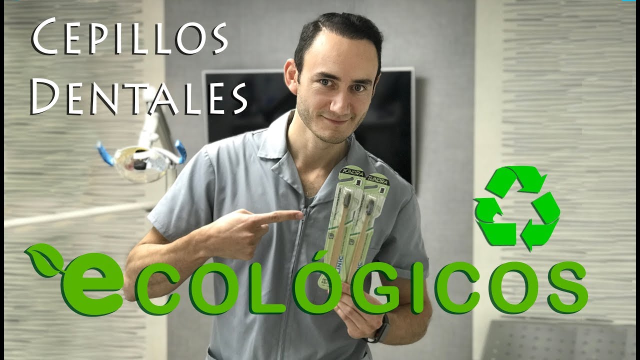 Biodegradable Eco-Friendly Toothbrushes | Do I Recommend Them? | Natural Bamboo