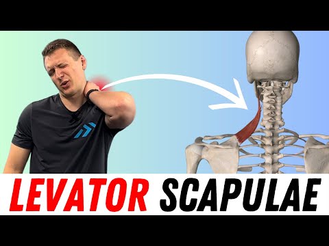 How to Release your Levator Scapulae For Good! (3 simple exercises)