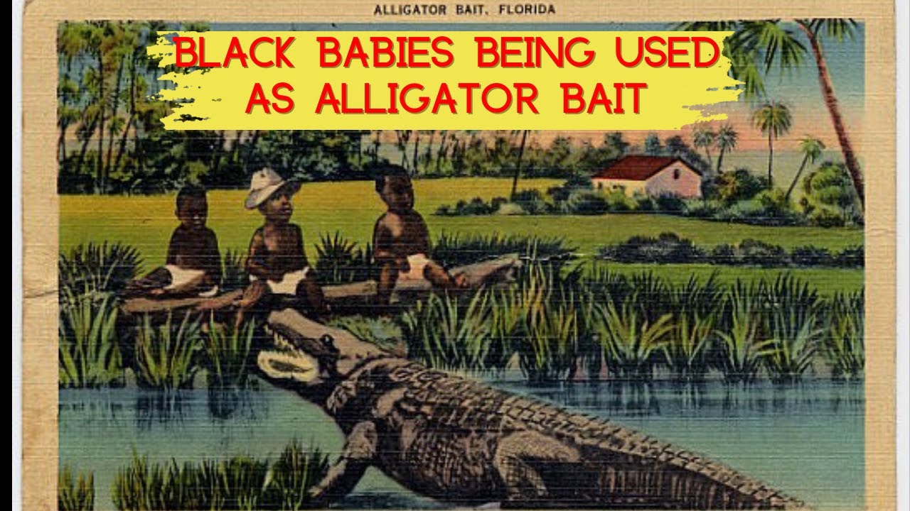 The Shocking History Of Black Babies Being Used As Alligator Bait