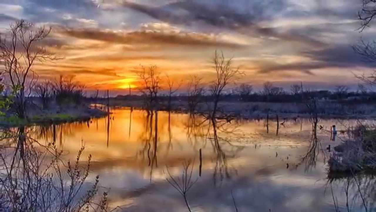 Wallpapers 1980*1080. Spring