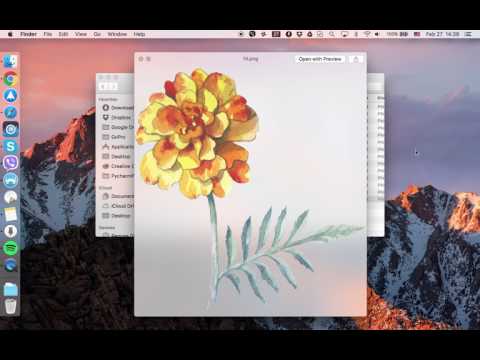Wild Flowers watercolor png set