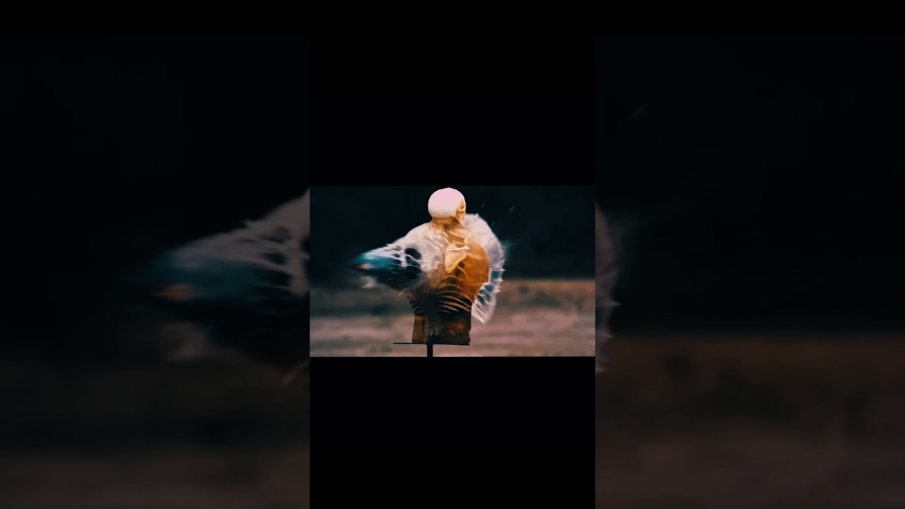 💥HERE COMES THE BOOM!💥@GarandThumb tank shell vs human body