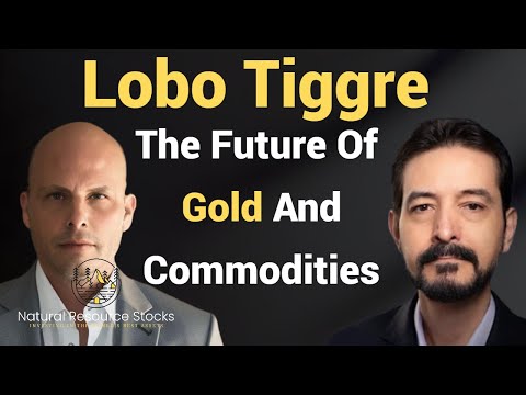 Future of Gold and Commodities: Insights from Independent Speculator Lobo Tiggre