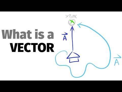 What is a Vector