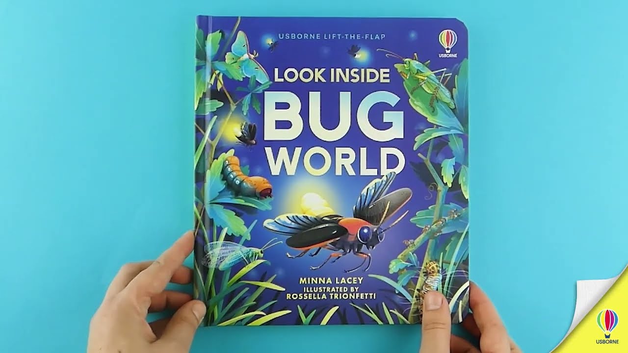 Look Inside Bug World | Usborne | Be Curious
