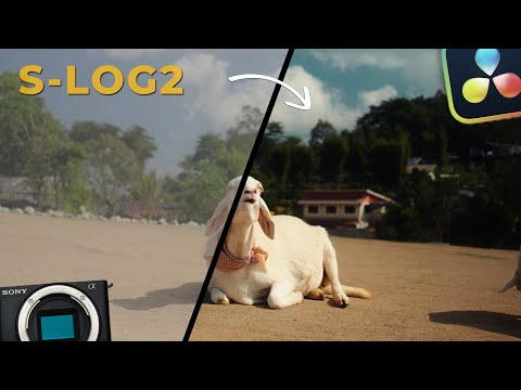 Sony ZV-E10: Color grading S-Log2 (DaVinci Resolve) (ILCZV-E10)