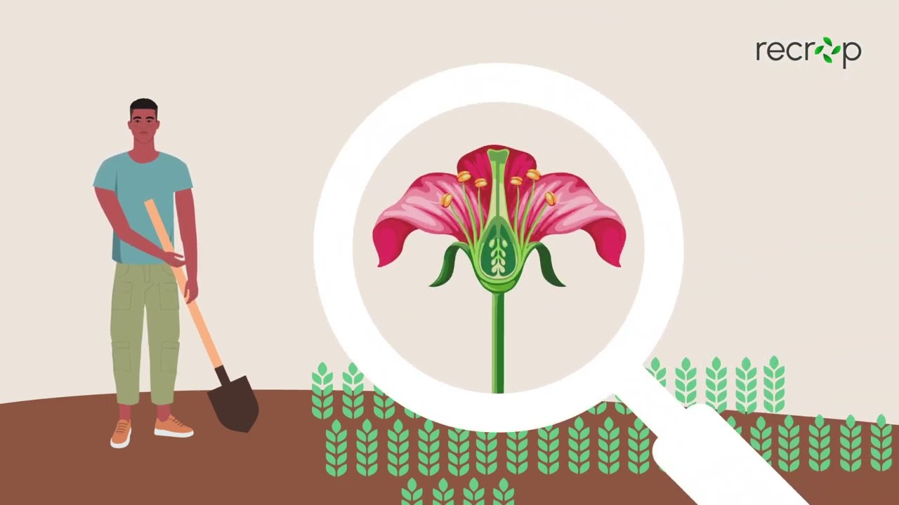 RECROP COST: Ensuring Sustainable Crop Yields for Future Generations