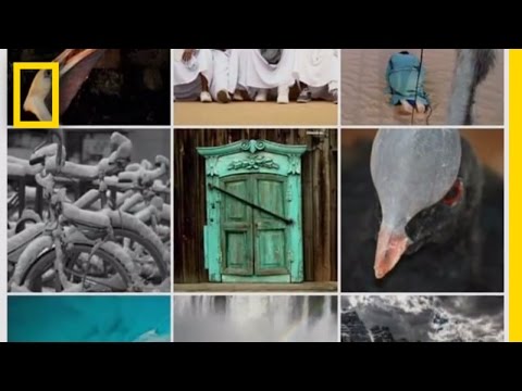 The New and Improved Website | National Geographic