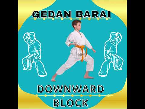 4 Basic Karate Blocks