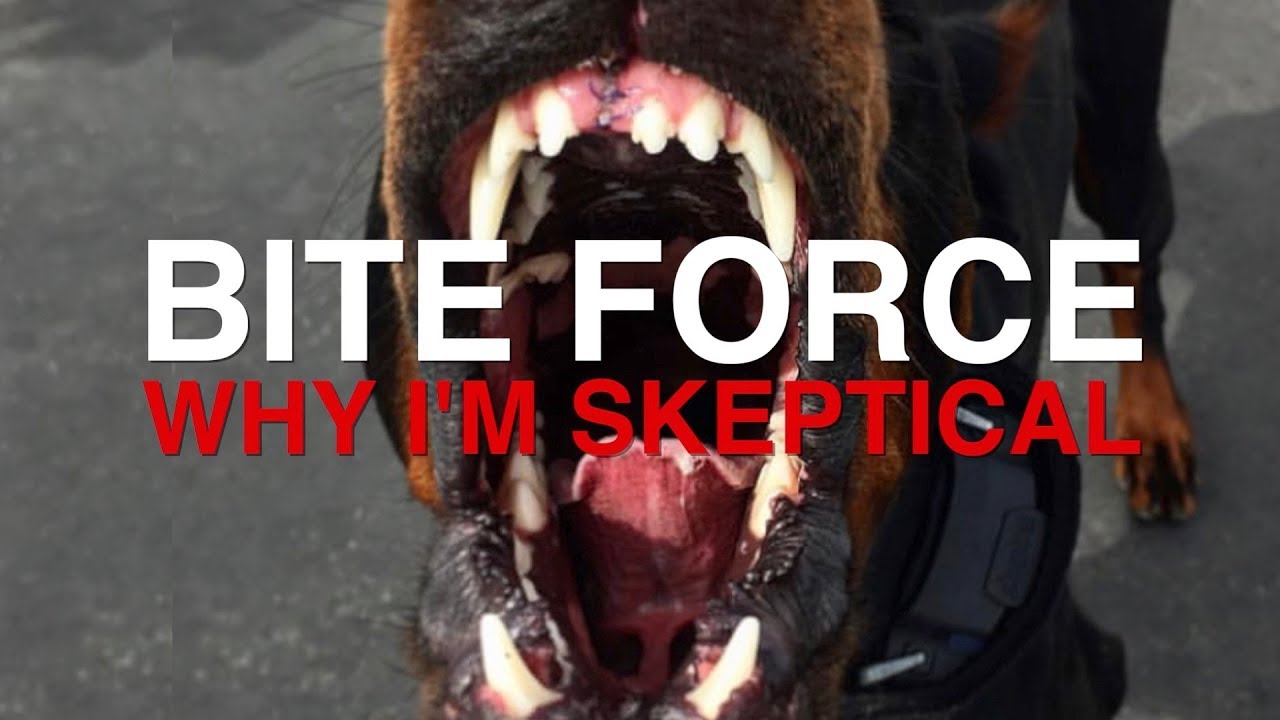 WHY I'M SKEPTICAL OF BITE FORCE STATS