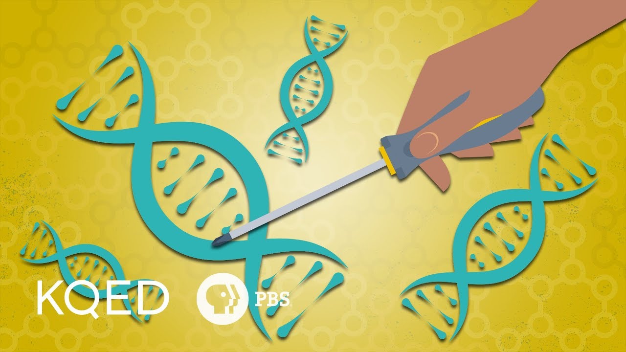 Gene Editing and CRISPR: Navigating the Ethical Landscape | Galaxy.ai