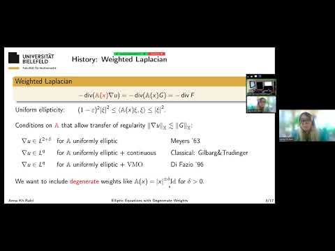 Anna Kh. Balci | Maximal regularity of local and nonlocal equations with degenerate weights