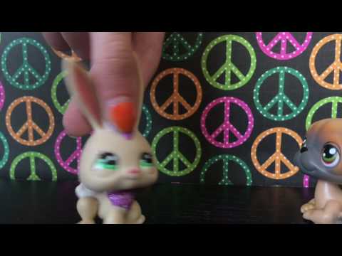 LPS: Twenty Problems With SOME LPS Popular Fans