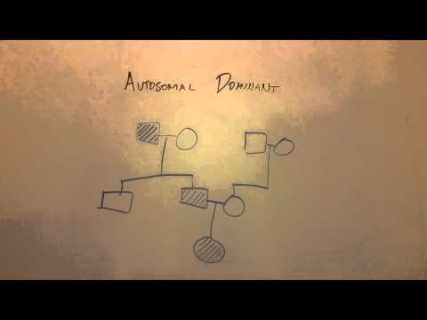 Autosomal Dominant Inheritance
