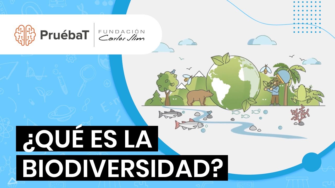 ¿Qué es la biodiversidad?