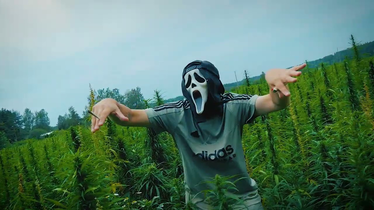 Gangsta Hurri by Mc Rambo from Finland | Popnable